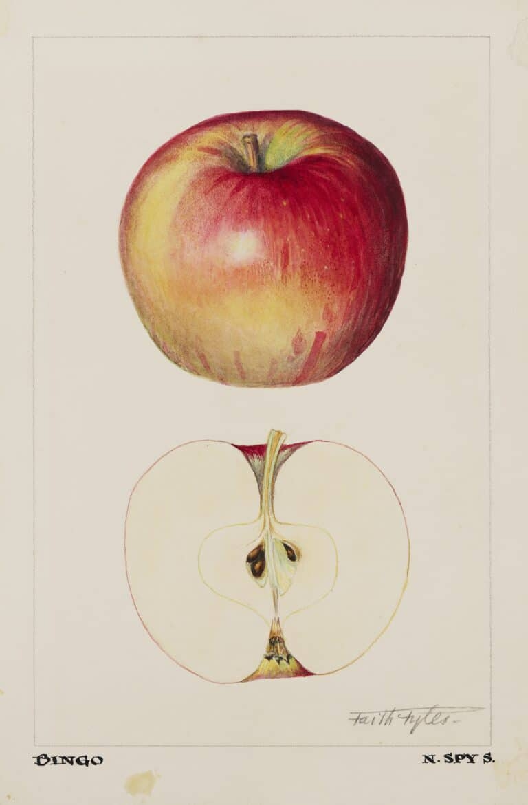 Faith Fyles. Floraisons : arts, sciences et agriculture | La Galerie d ...